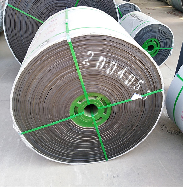 Heat Resistant Conveyor Belts – Marex Distribution
